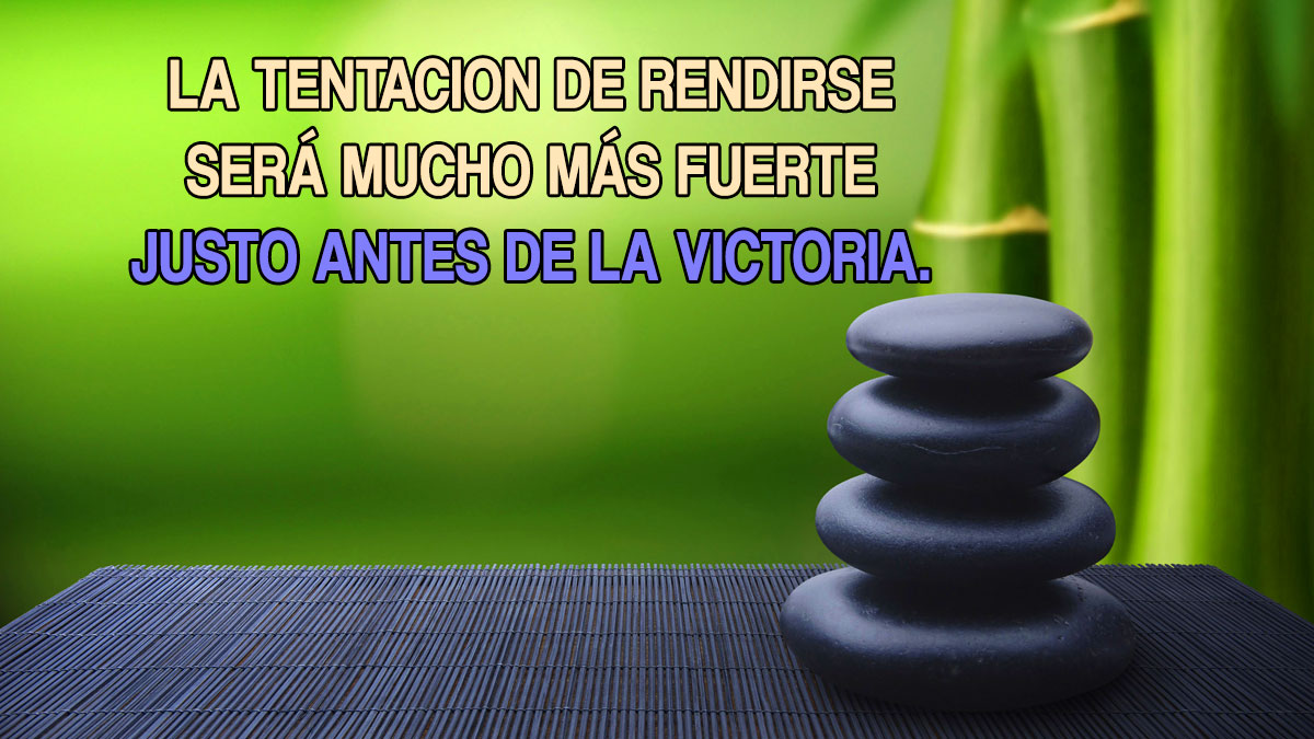 Te encantarán estas frases de sabiduría zen. La mejor Selección ...