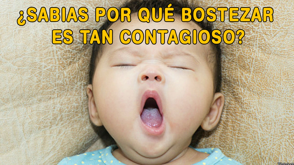 ¿Sabias Por qué bostezar es tan contagioso? – Sonrie Para Vivir Mejor