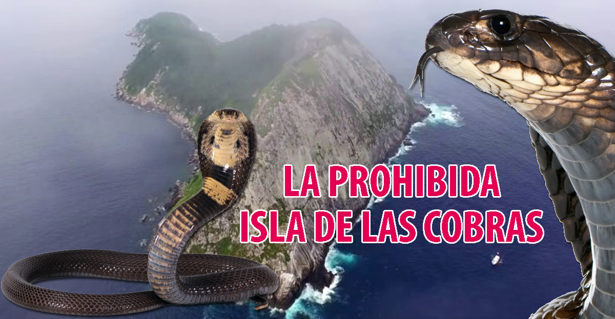 Conoce La prohibida isla de las cobras – Sonrie Para Vivir Mejor