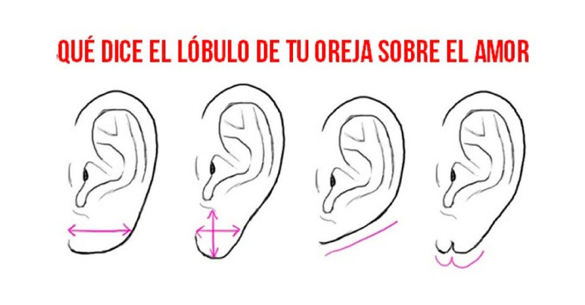 ¿Cómo es el lóbulo de tu oreja? Esto es lo que su forma dice sobre tu ...